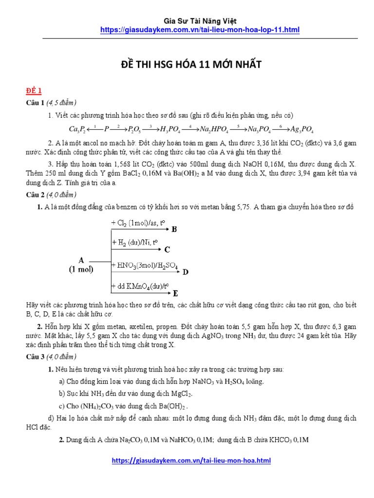 De Thi HSG Hoa 11 Moi Nhat 20 | PDF