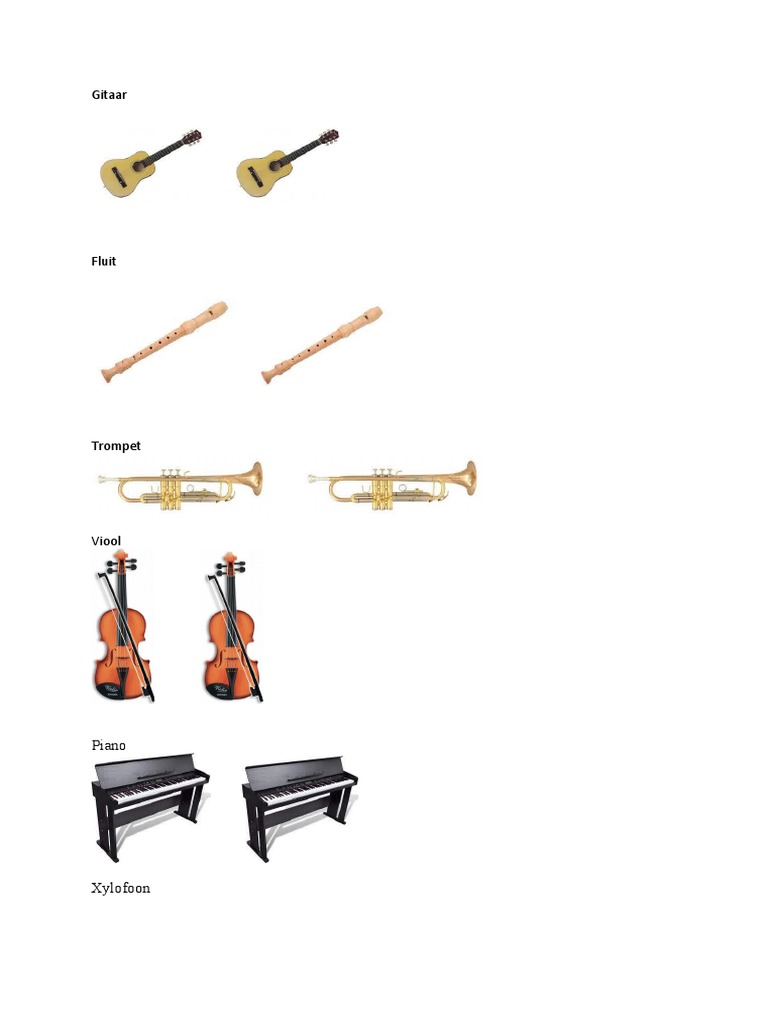 Memory Muziekinstrumenten | PDF