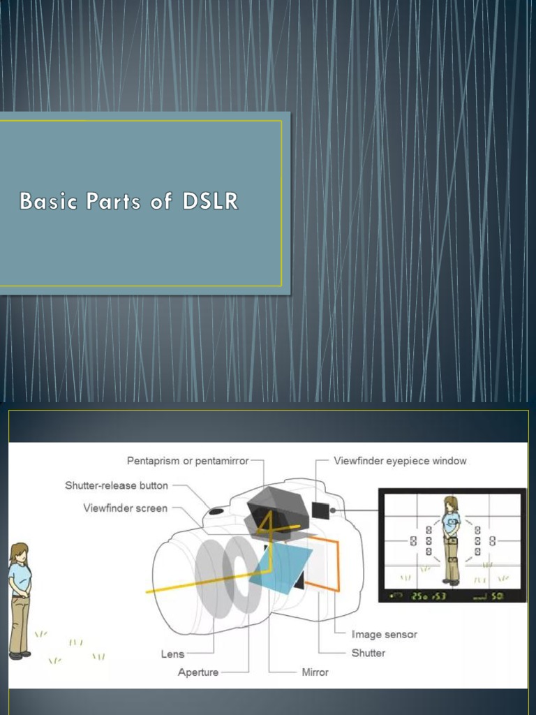 Basic Parts of DSLR | PDF | Camera | Digital Single Lens Reflex Camera