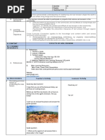 Science 5 Weather Disturbances DETAILED LESSON PLAN | PDF | Eye ...