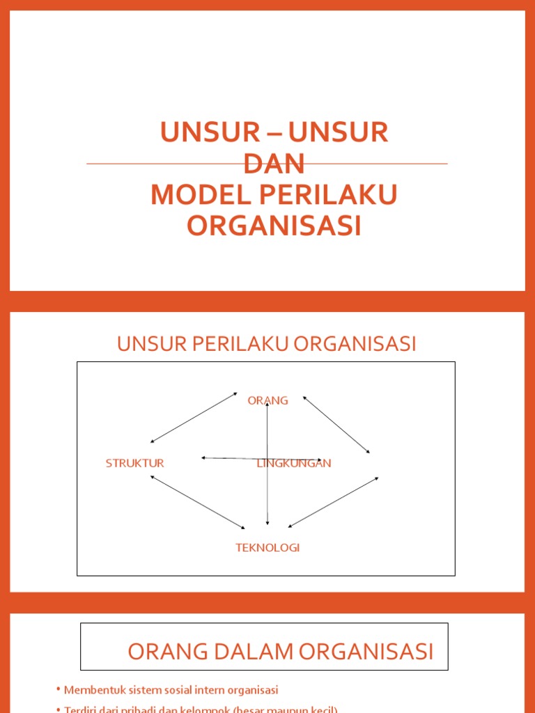 Unsur Dan Model Perilaku Organisasi | PDF