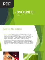 Raznovrsnost Dupljara-Prezentacija | PDF