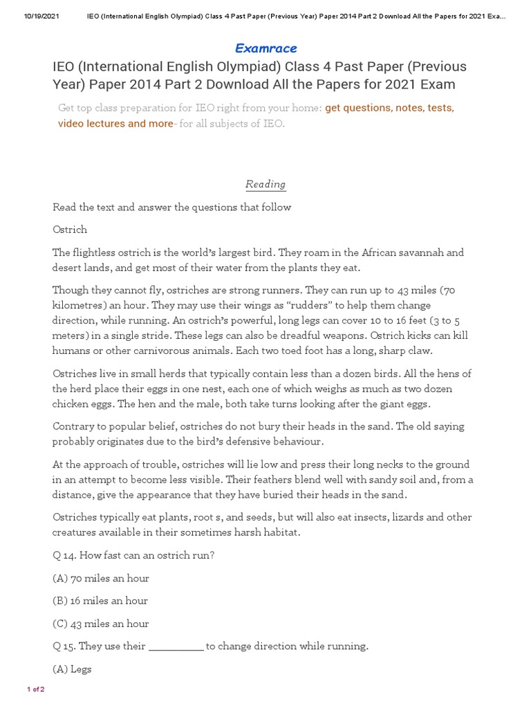 IEO (International English Olympiad) Class 4 Past Paper (Previous Year ...