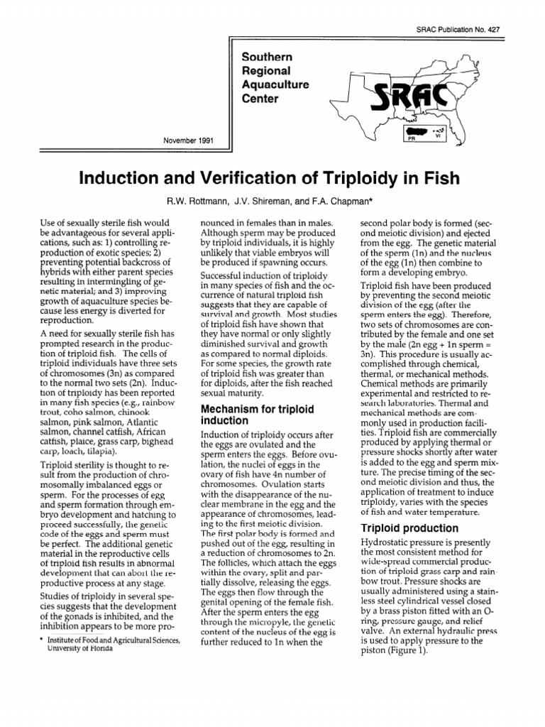 Induction and Verification of Triploidy in Fish | PDF | Ploidy | Meiosis