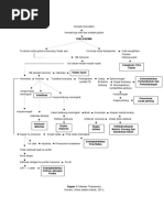 Pathway Anemia | PDF
