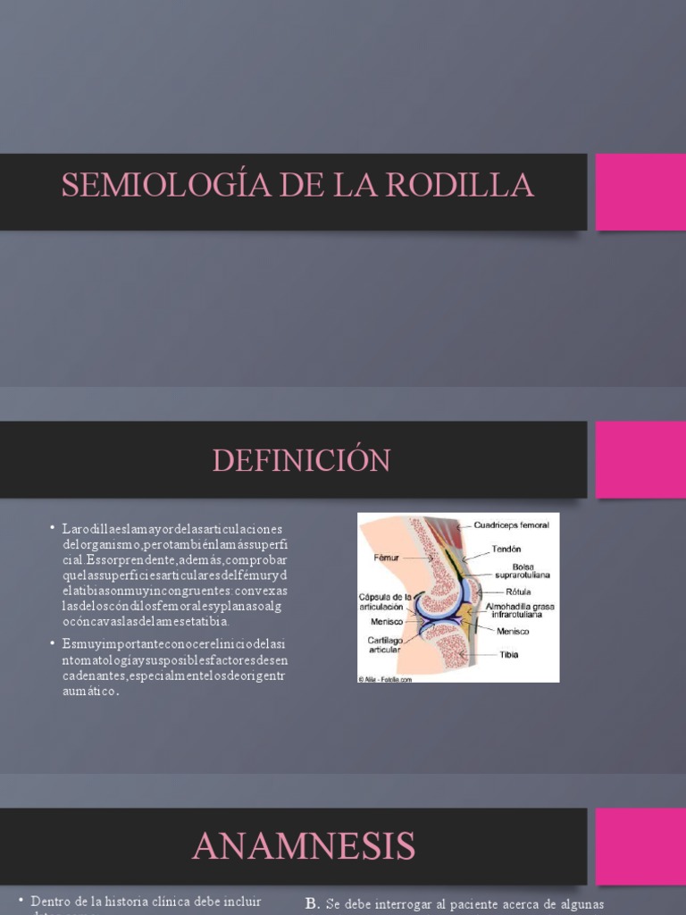 Semiología de La Rodilla | Descargar gratis PDF | Rodilla | Sistema ...
