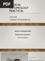 Medical Entomology Lab Handout | PDF | Mosquito | Aedes Aegypti