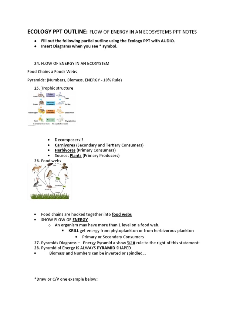 Energy Flow in Ecosystems PPT NOTES | PDF | Science & Mathematics