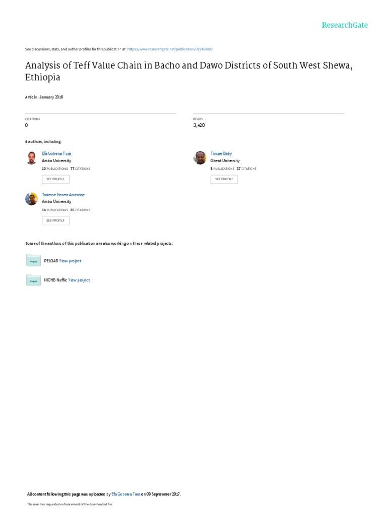 Analysis of Teff Value Chain in Bacho and Dawo Dis | PDF | Value Chain ...