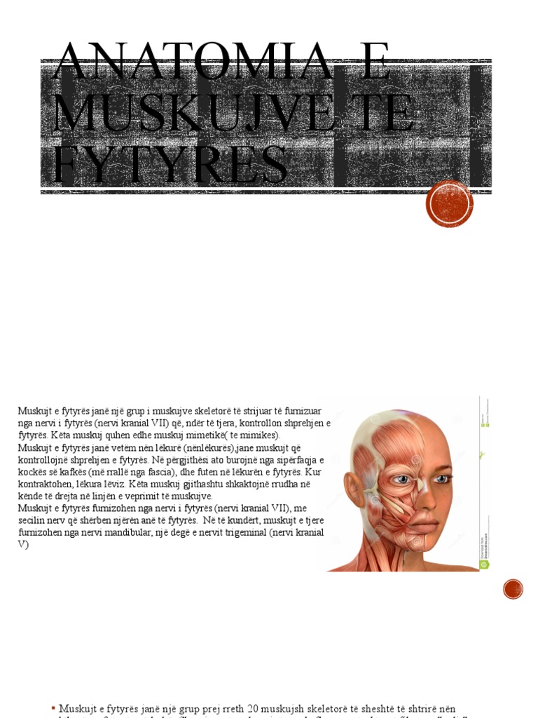 Anatomia e Muskujve Te Fytyres | PDF