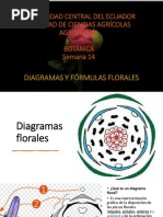 Formula y Diagramaa Floral | PDF | Flores | Morfología Vegetal