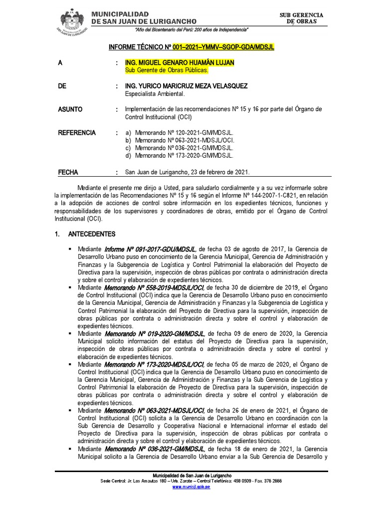 Informe Técnico #001 | PDF