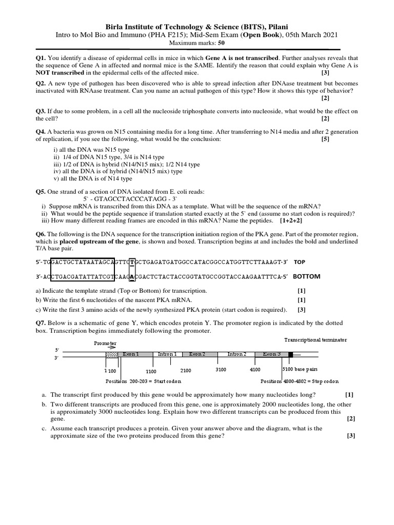 Mid-Sem Question Paper | PDF | Gene | Messenger Rna