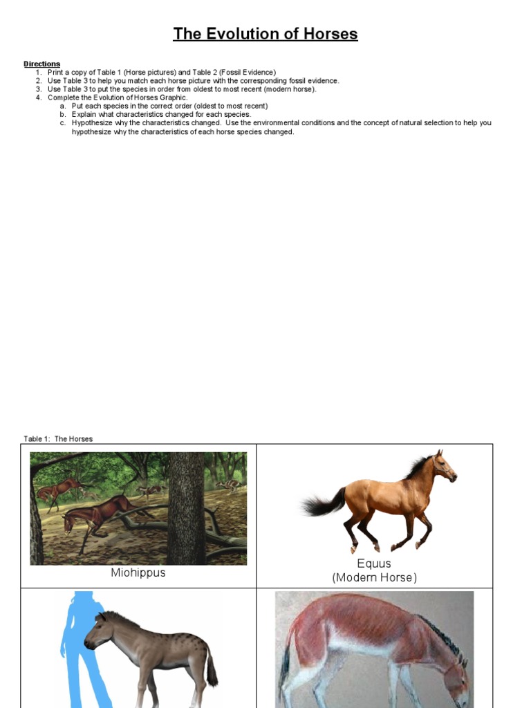 5.3.2 Evolution of Horses | PDF | Horses | Equus (Genus)