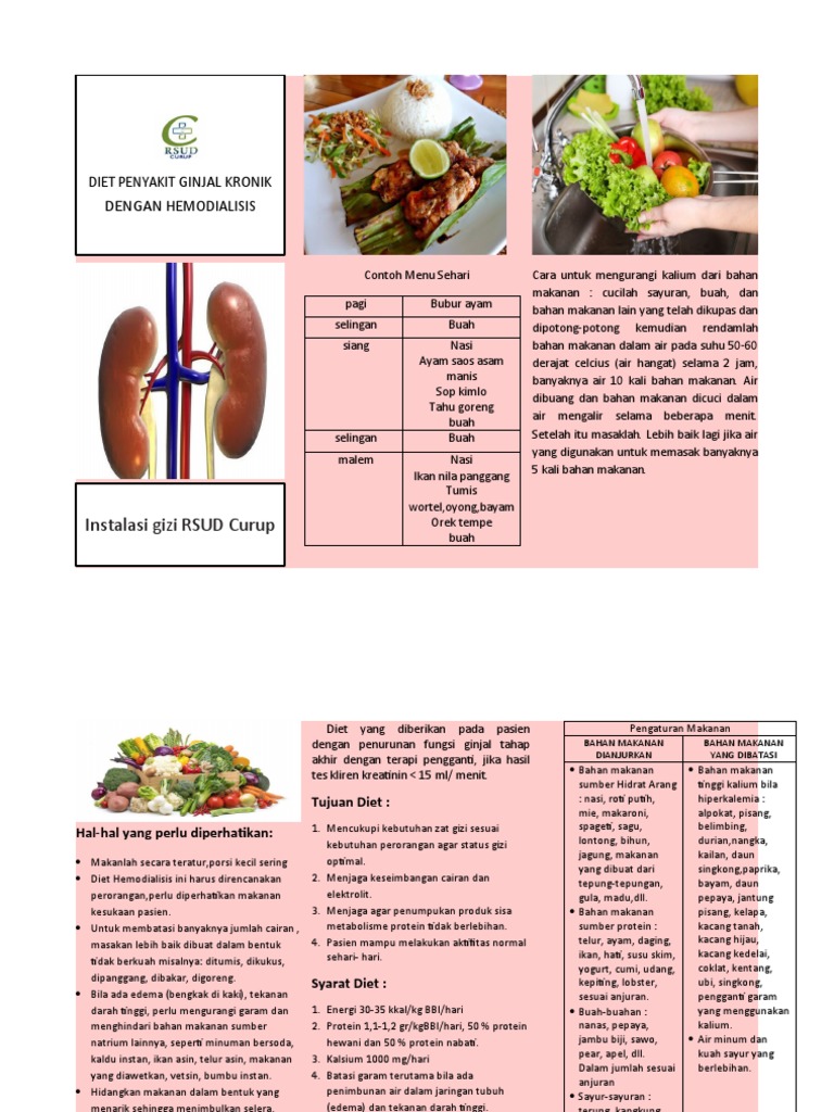 Diet Ginjal Kronik Hemodialisis | PDF