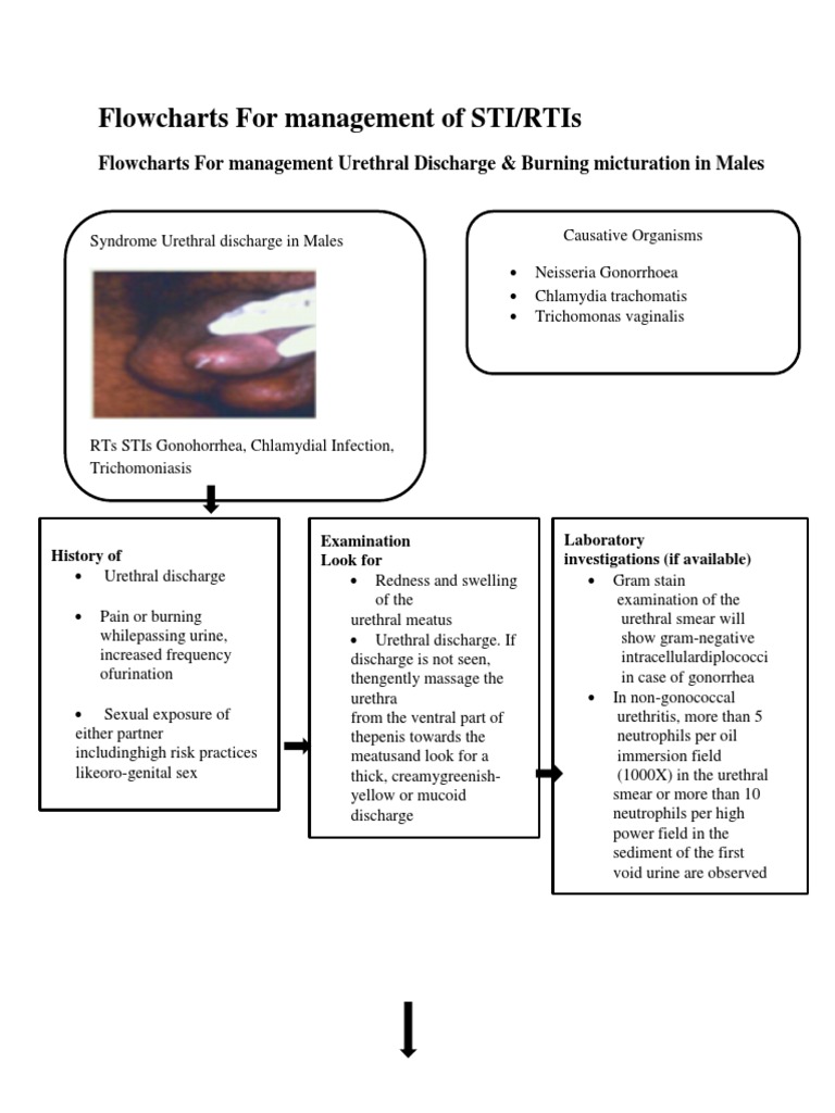 Flowcharts For Management of STI-Final | PDF | Sexually Transmitted ...