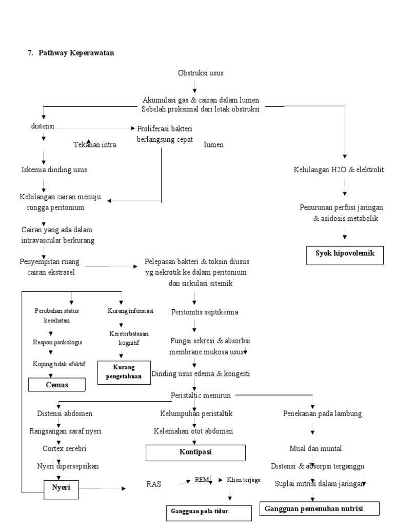 Pathway Keperawatan Ileus Obstruktif dan Paralitik | PDF