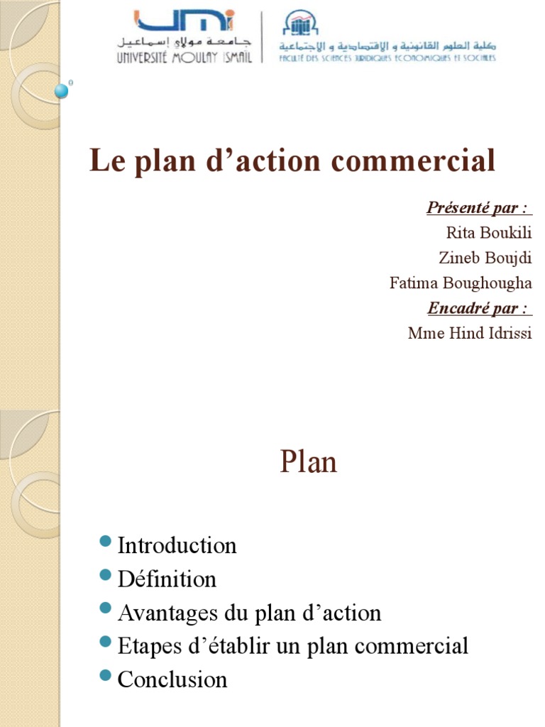 Le Plan D'action Commercial | PDF | Gestion de la relation client | Commercialisation
