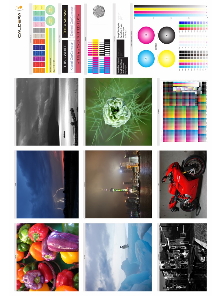 Test Caldera C Perfila Color | PDF