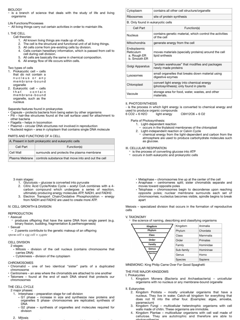 Biology | PDF | Cell (Biology) | Human Body