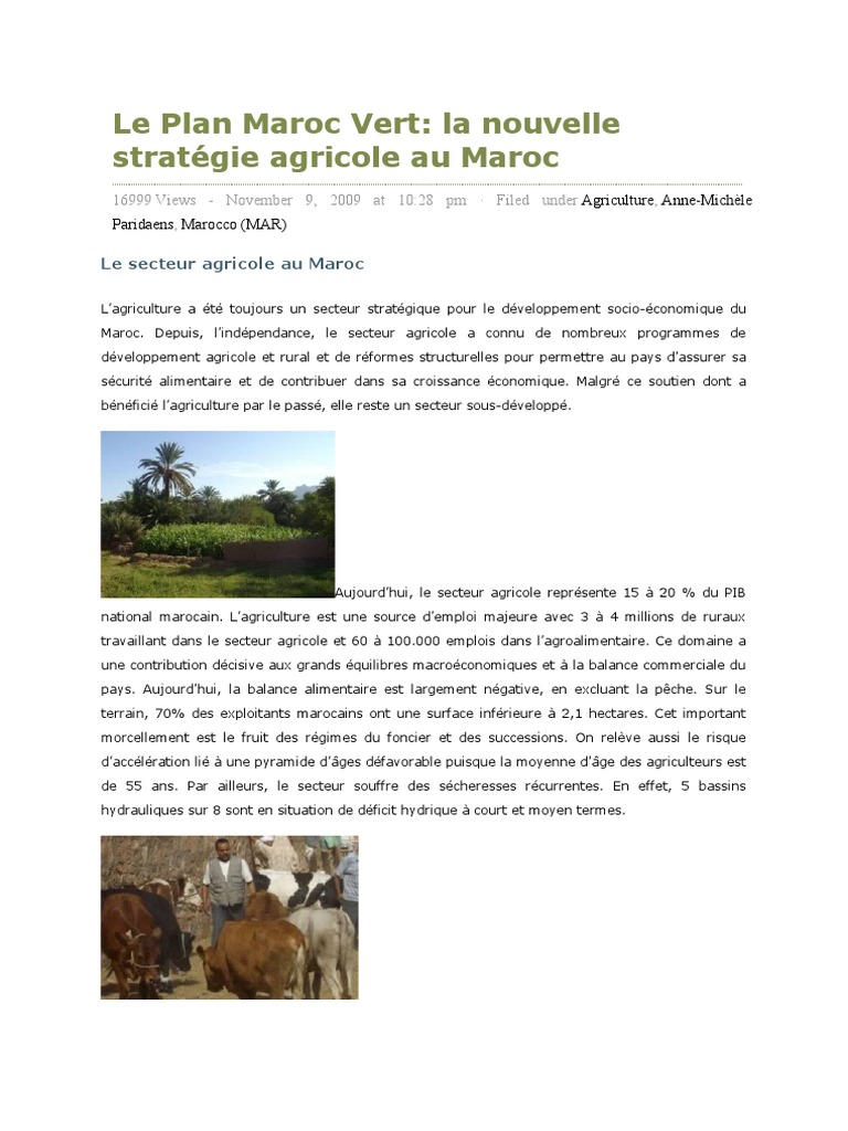 Plan Maroc Vert : Stratégie Agricole 2023 | PDF | Maroc | Agriculture