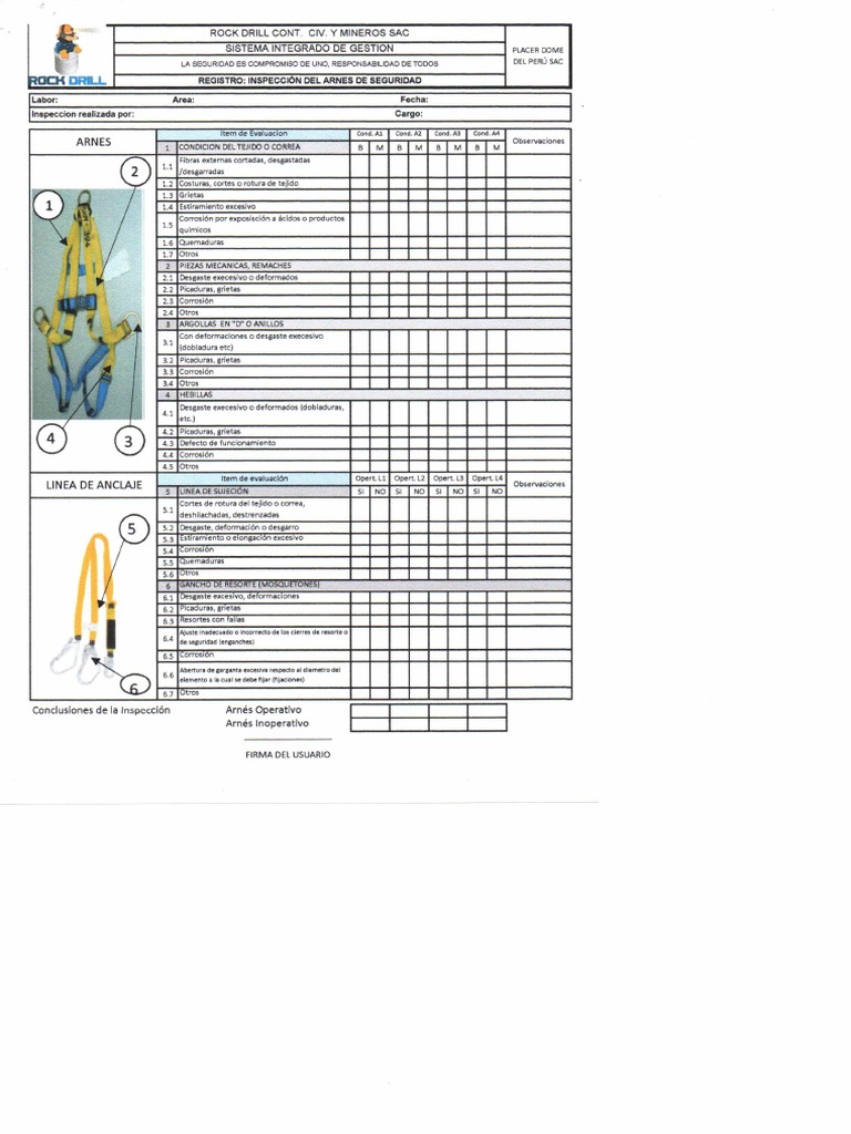 Check List de Arnes | PDF