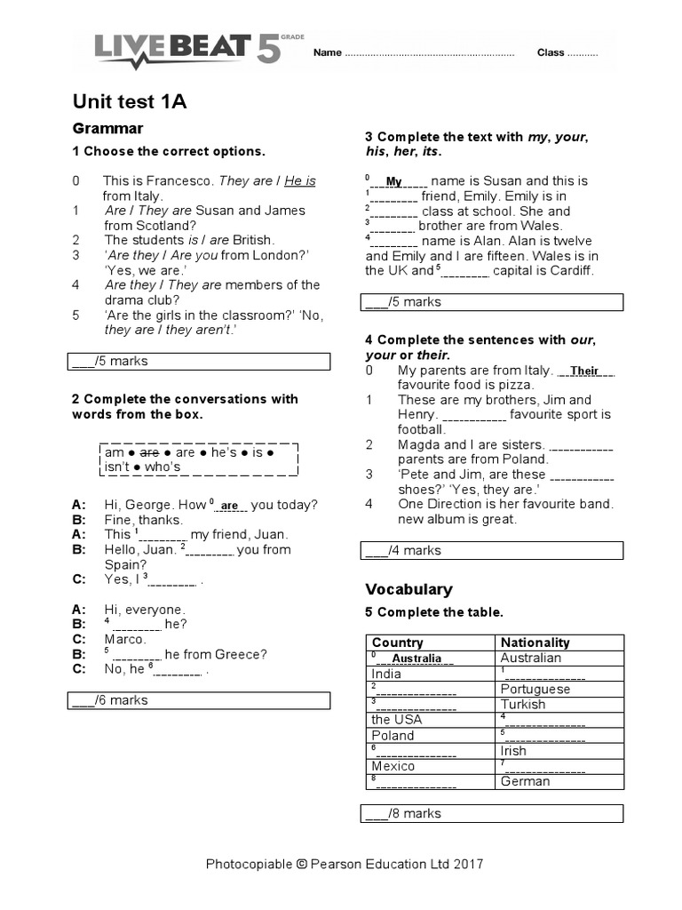 Unit Test 1A: Grammar | PDF