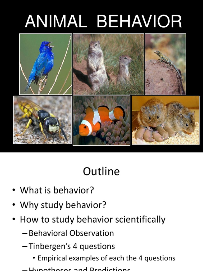 Chapter 1 Animal Behavior | PDF | Hypothesis | Natural Selection