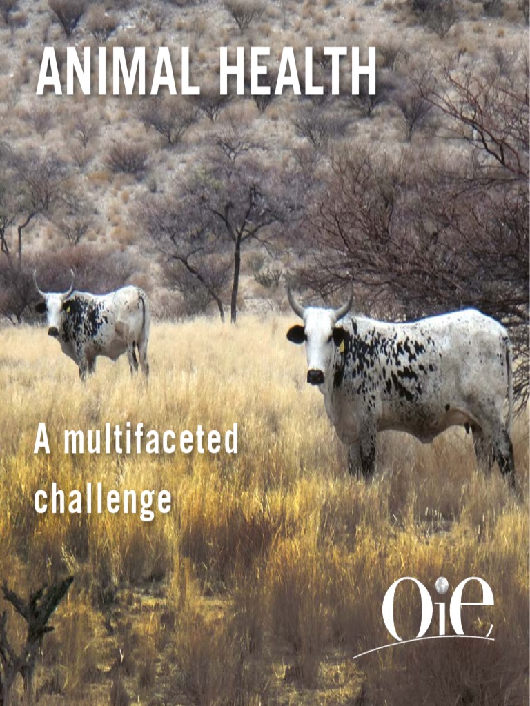 Animal Health: A Multifaceted Challenge | PDF | Infection | Life Sciences
