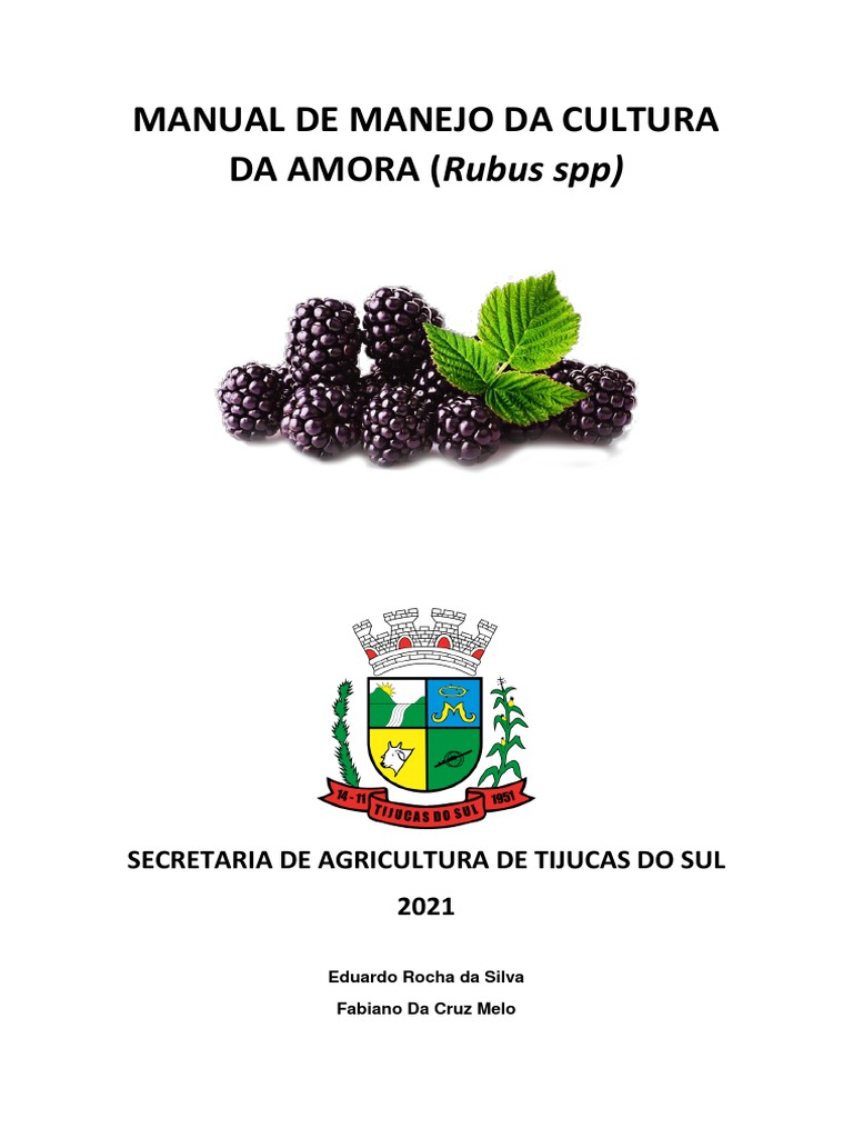 Guia completo para o cultivo da amora (Rubus spp.) em Tijucas do Sul ...