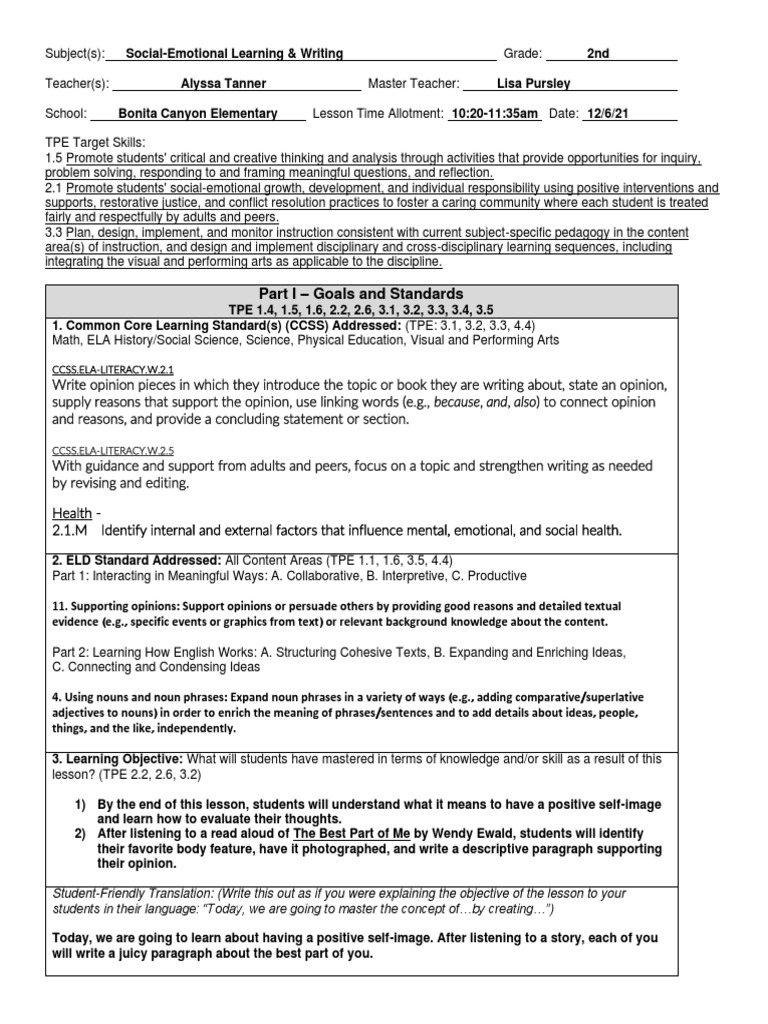 Sel Lesson Plan | PDF | Educational Assessment | Rubric (Academic)