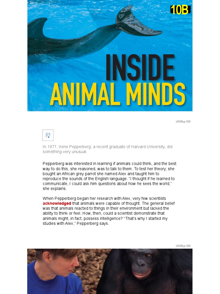 Reading Explorer 3 3rd Edition 10B | PDF | Intelligence | Human