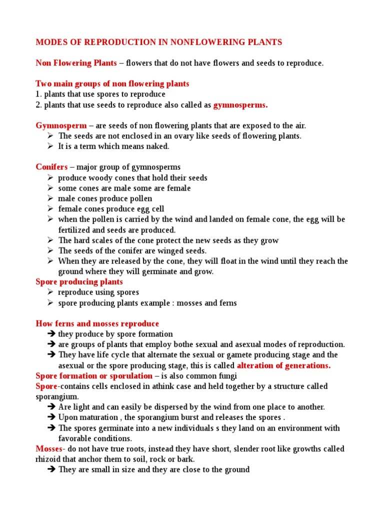 Nonflowering Plant Reproduction | PDF | Sexual Reproduction | Spore