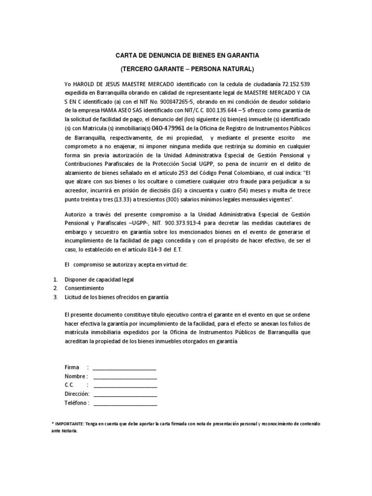 Carta Denuncia de Bienes Codeudor - Persona Natural - V1 | PDF | Ley común | Justicia