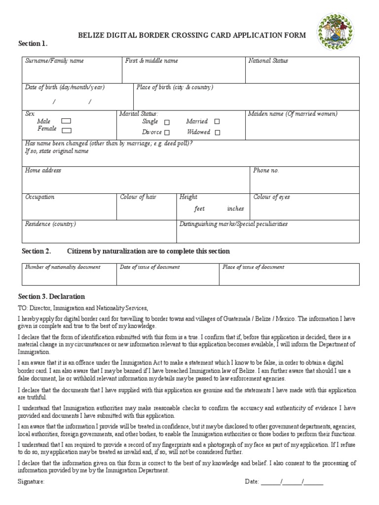 Belize Digital Border Crossing Card Application Form Section 1 | PDF ...