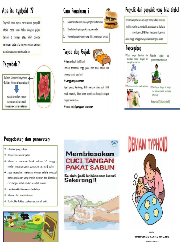 Dokumen - Tips - 244461993 Leaflet Demam Tifoid | PDF