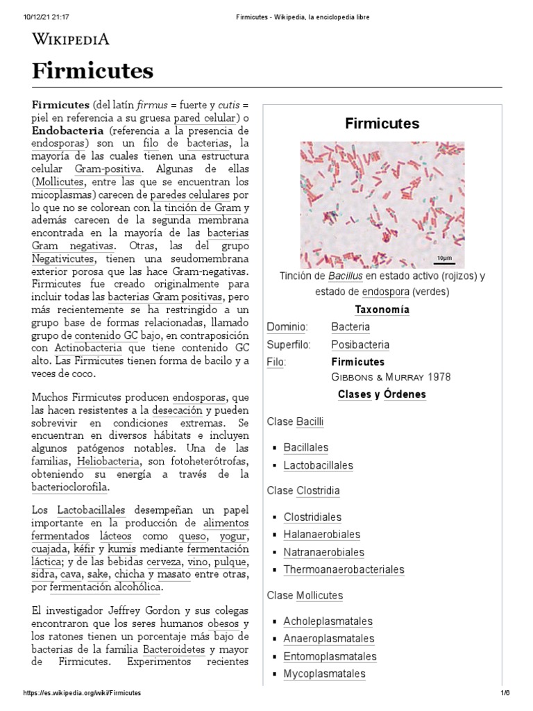 Firmicutes | PDF | Las bacterias | Bacterias Gram Positivas
