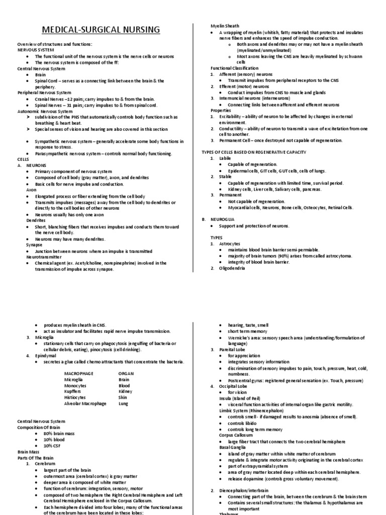 Medical Surgical | PDF | Nervous System | Motor Neuron