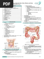 Detailed Anatomy of Appendix and Colon | PDF | Large Intestine | Anatomy