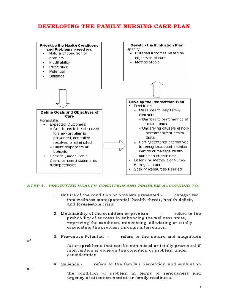 Developing The Family Nursing Care Plan | PDF | Nursing | Goal