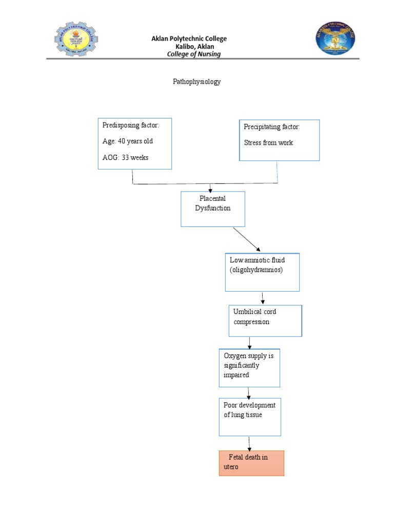 Pathophysiology Fetal Death | PDF