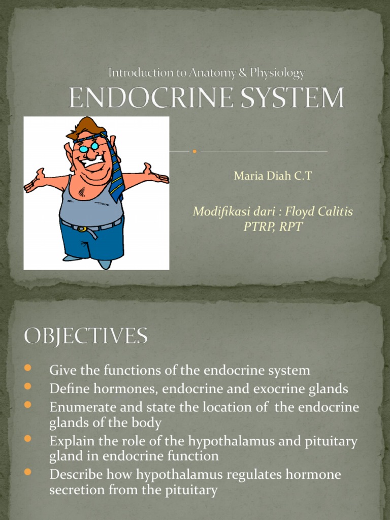 Anatomi & Fisiologi Sistem Endokrin | PDF | Pancreas | Adrenal Gland
