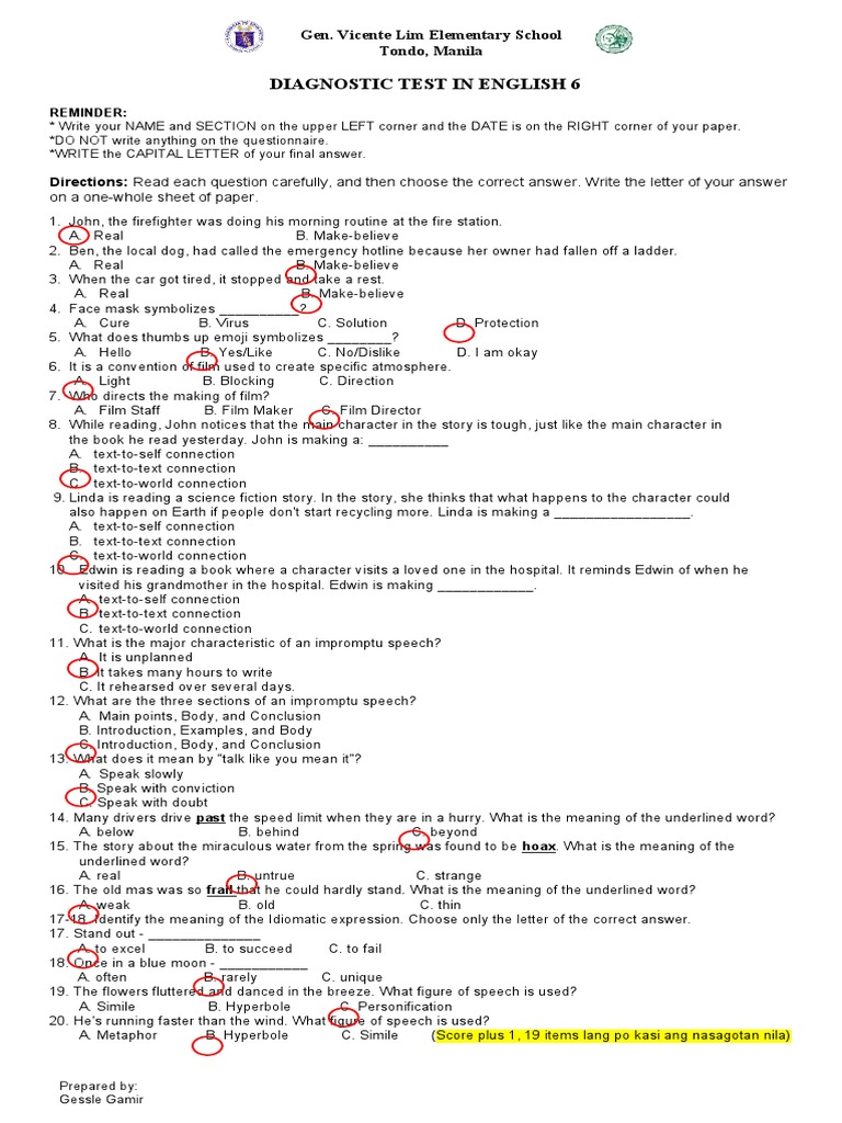 Grade 6 English Diagnostic Test & Answers | PDF
