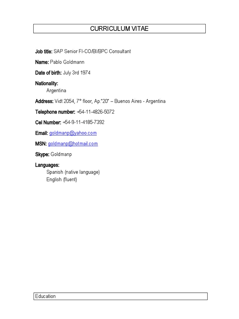 CV Pablo Goldmann I | PDF | Business Process | Implementation