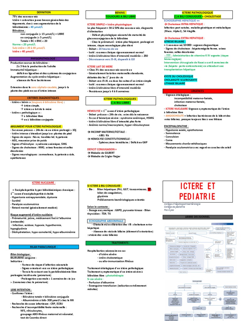 Ictere PDF | Descargar gratis PDF | Spécialités médicales | Maladies et ...