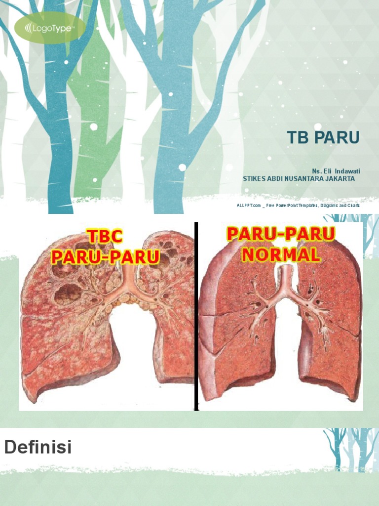 Panduan Lengkap Tuberkulosis TB | PDF