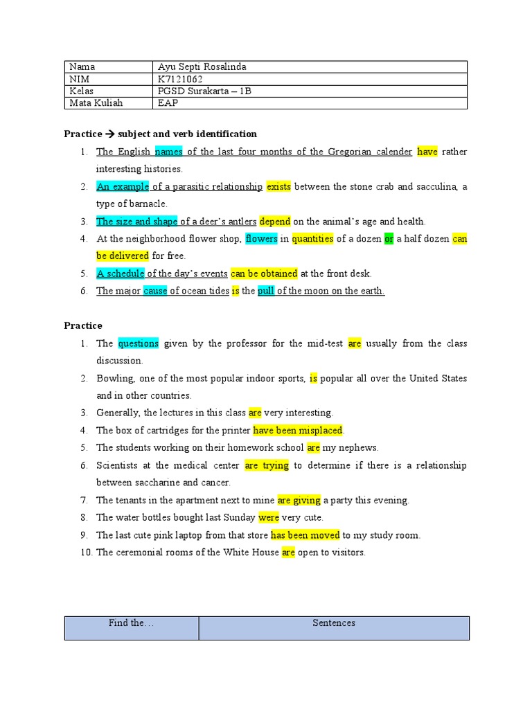 Practice Subject and Verb Identification | PDF | Sydney | Entertainment