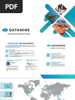 Guia Sobre El Uso Del Programa Datamine Studio Ug | PDF | Archivo de computadora