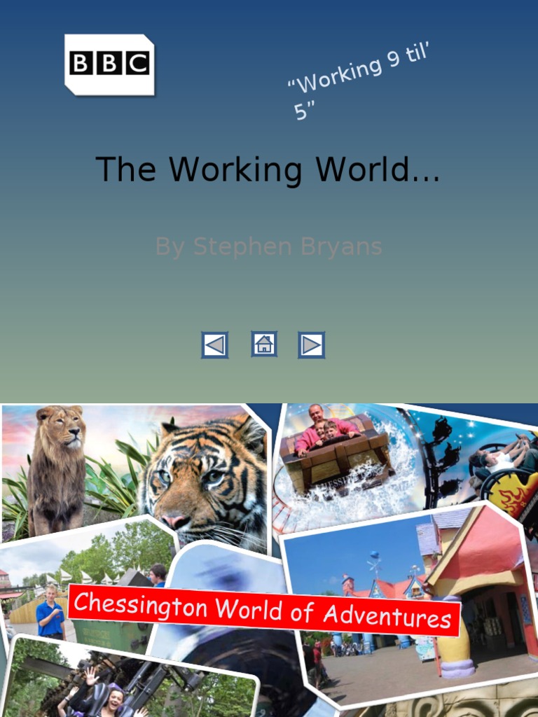 The Working World...: By Stephen Bryans