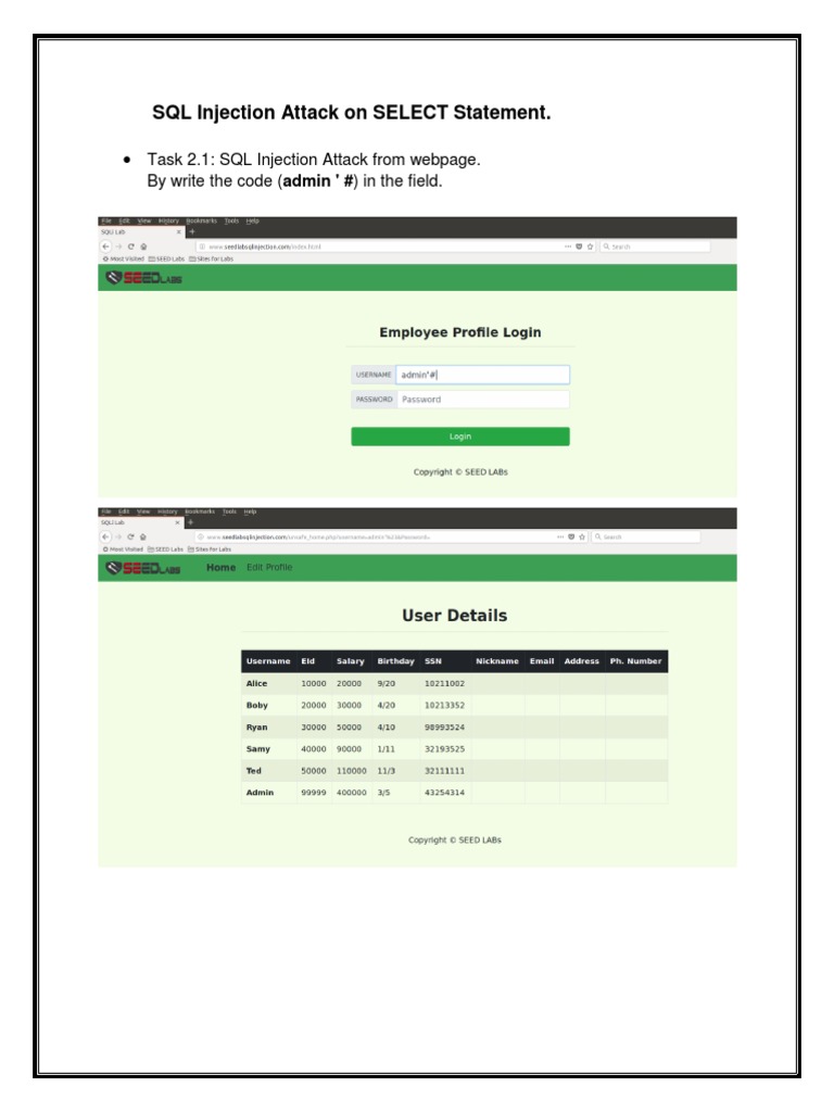 SQL Injection: Risks & Prevention | PDF | Password | Computer Science